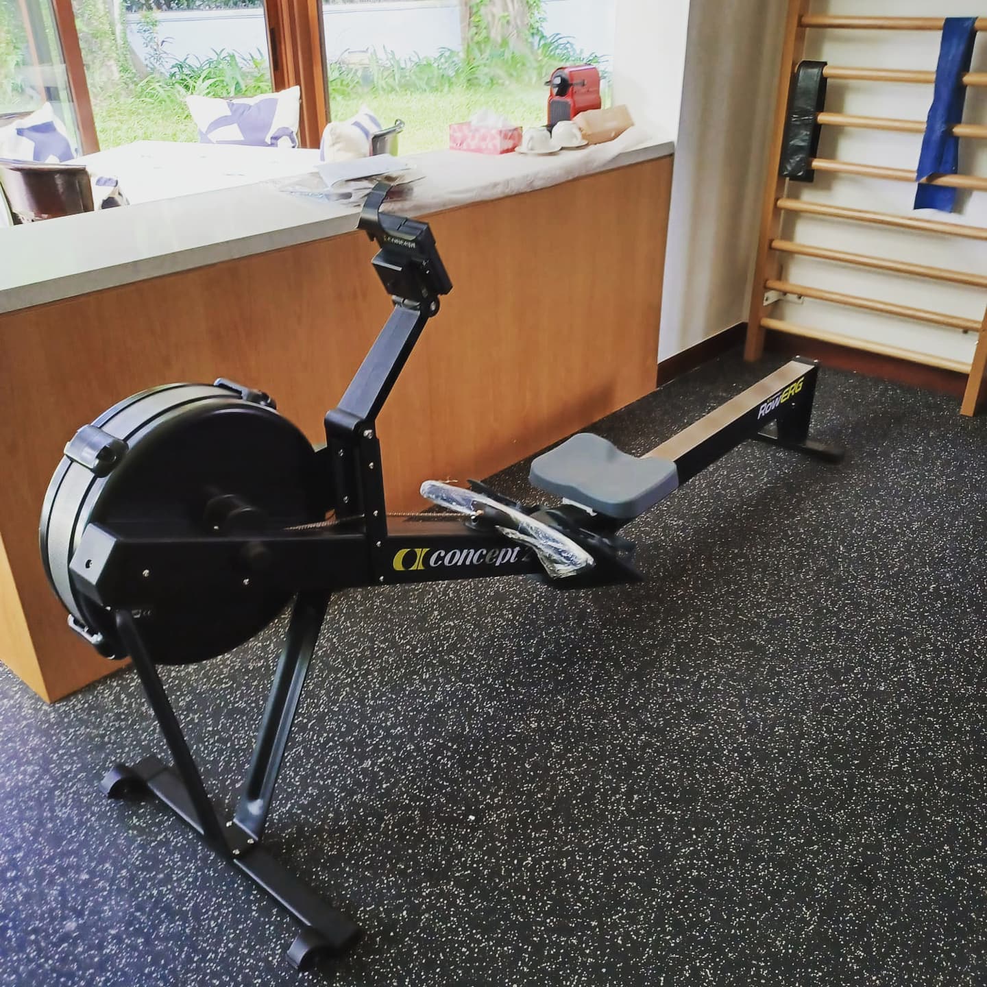Concept2 RowErg Indoor Rowing Machine - Home Gym Singapore