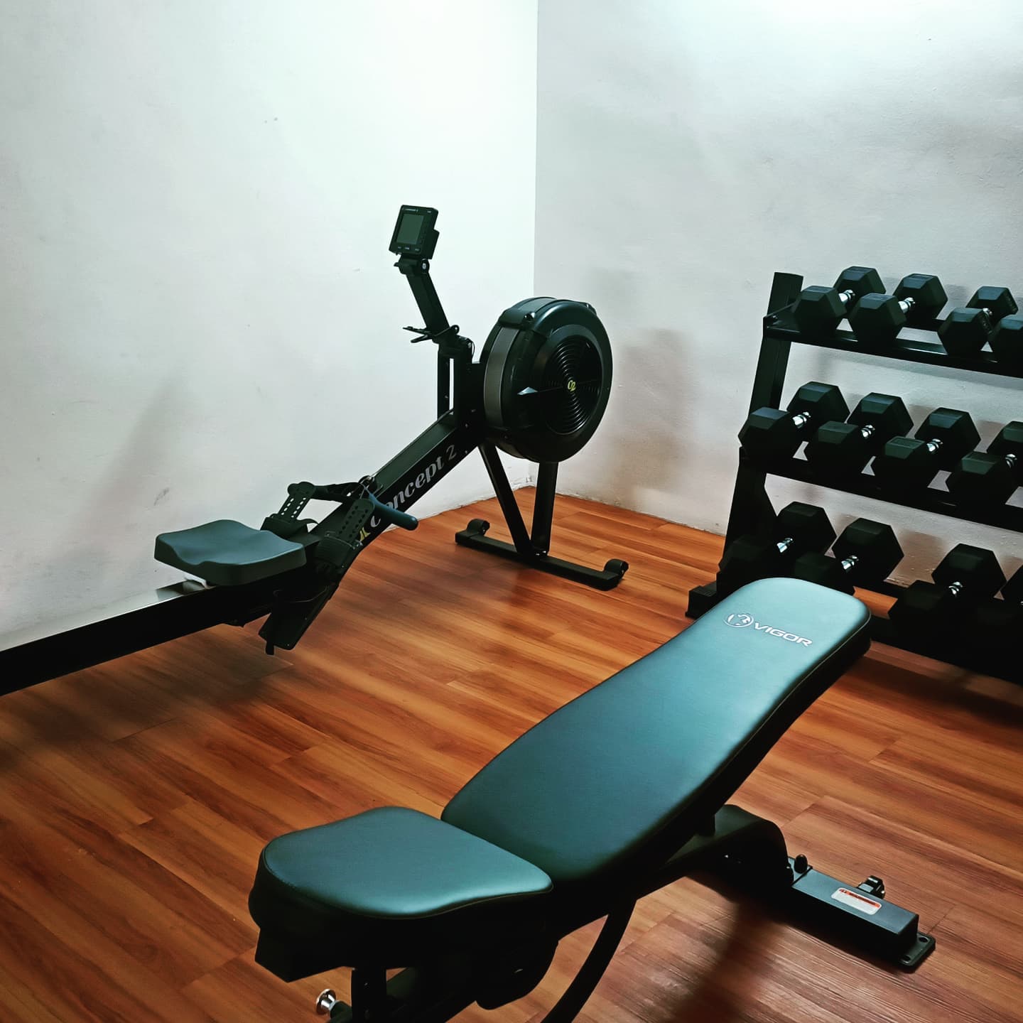 Concept2 RowErg Indoor Rowing Machine - Home Gym Singapore